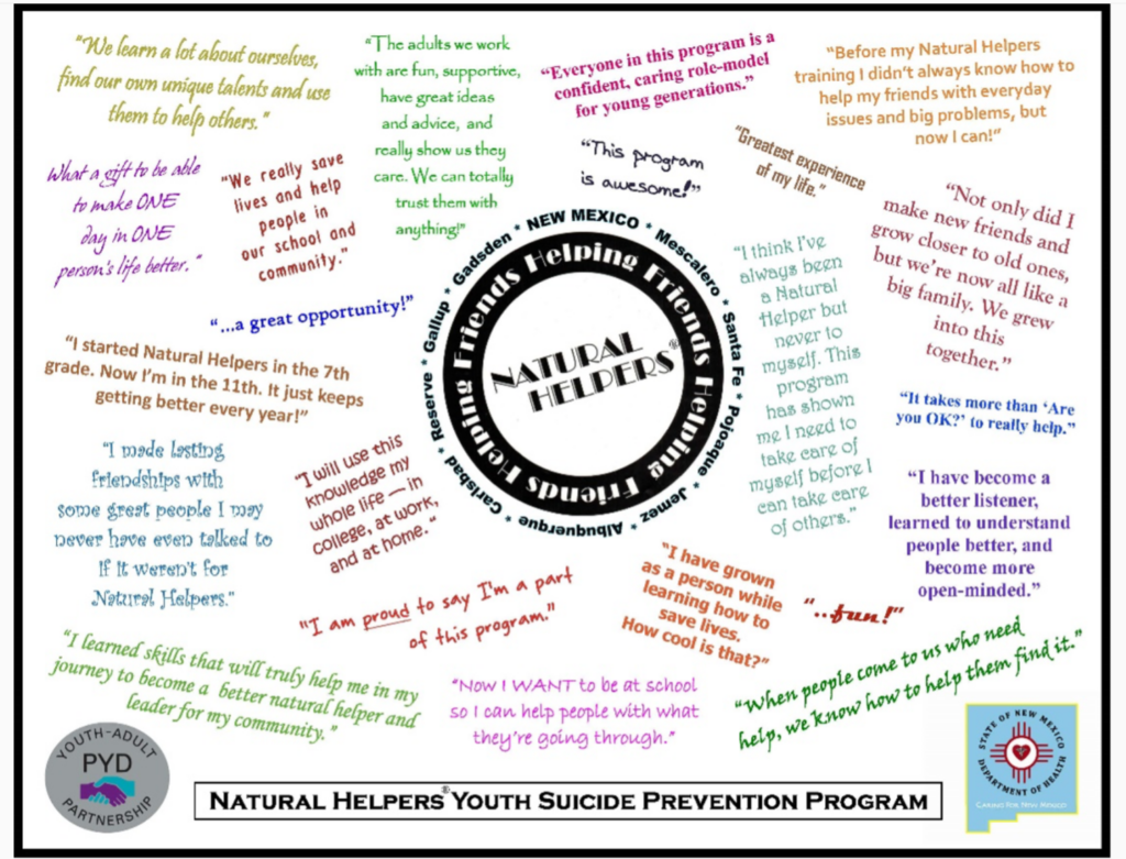 Developing Youth Leadership Skills – School-Based Health Alliance